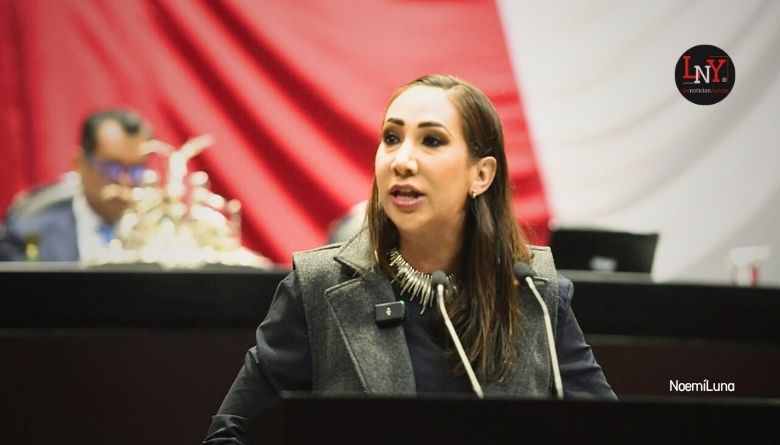 Impulsa Noemí Luna ley contra abusos de CFE y grandes cadenas | Las ...